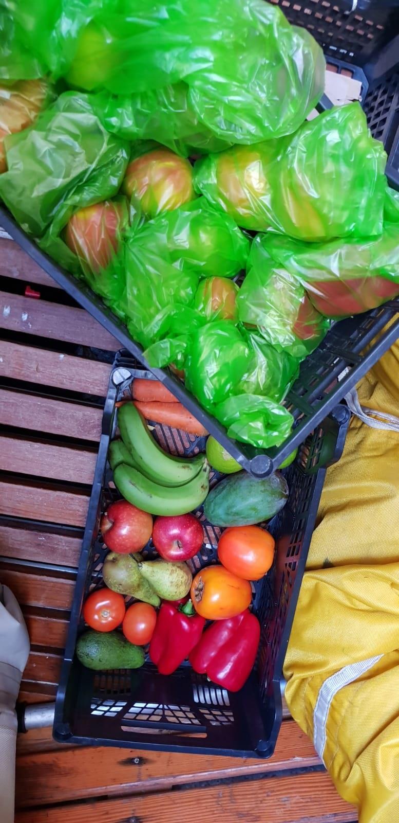 Fruit preserving first class sailing - Fruit bagged not bagged - ARC ...