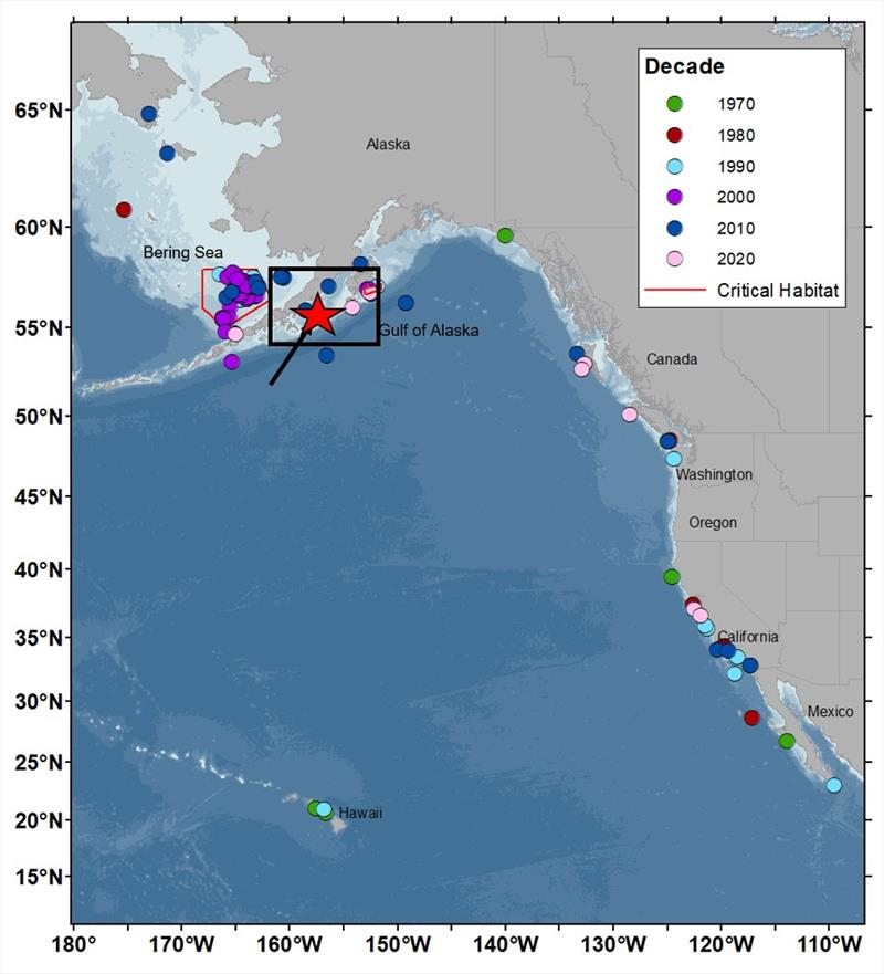 Locations of all eastern North Pacific right whale sightings by decade ...