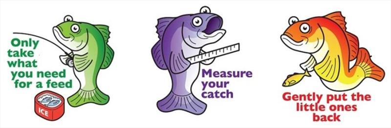 Fish responsibly this summer