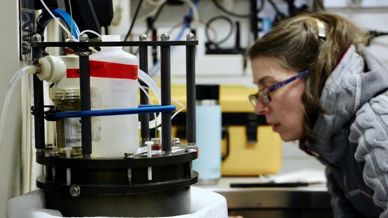 Scientist monitoring incoming images with Imaging Flow Cytobot in ...