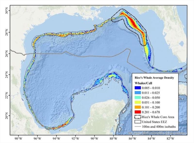 Predicted average Rice's whale density (whales/cell) for years 2015 ...