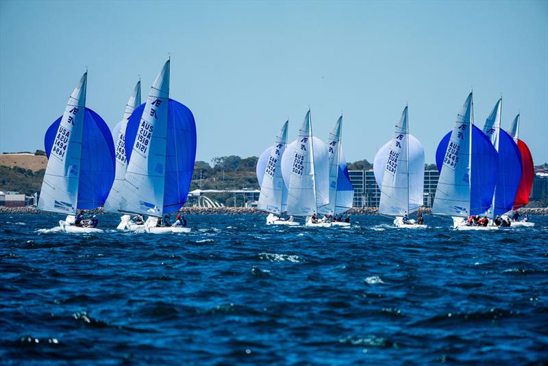 the 2024 Bill Steele Regatta in Fremantle Day 1