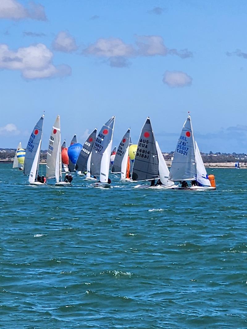 2024 Fireball Australian National Championship at Royal Geelong Yacht ...