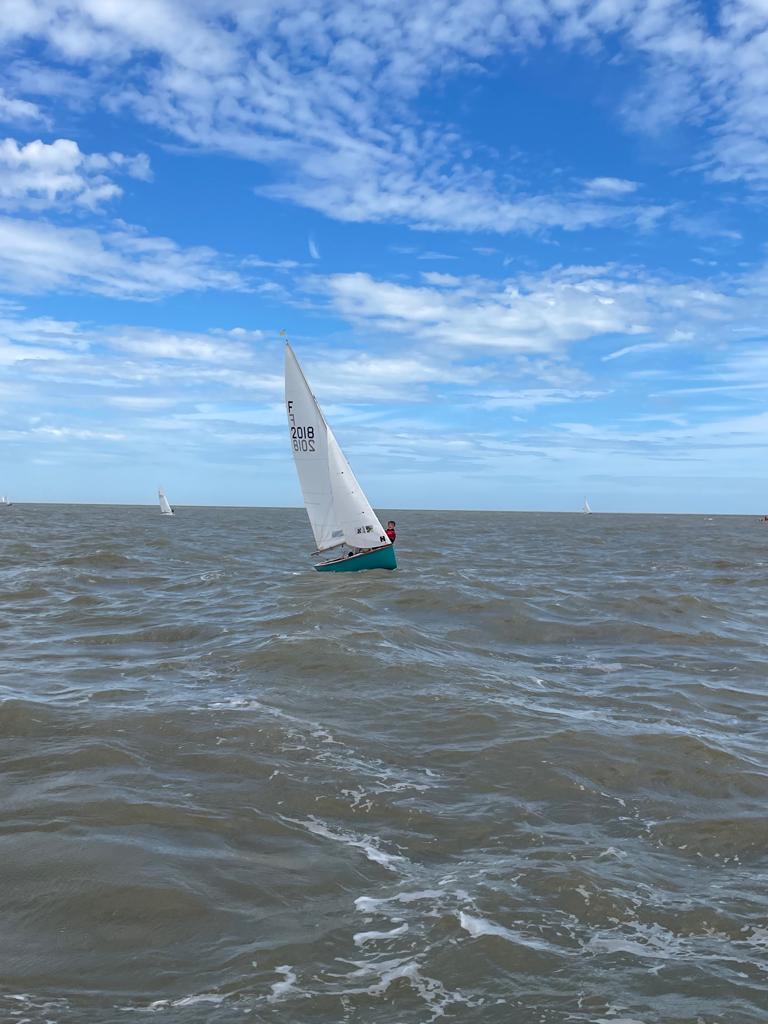 Firefly Nationals 2023 at Felixstowe Day 2