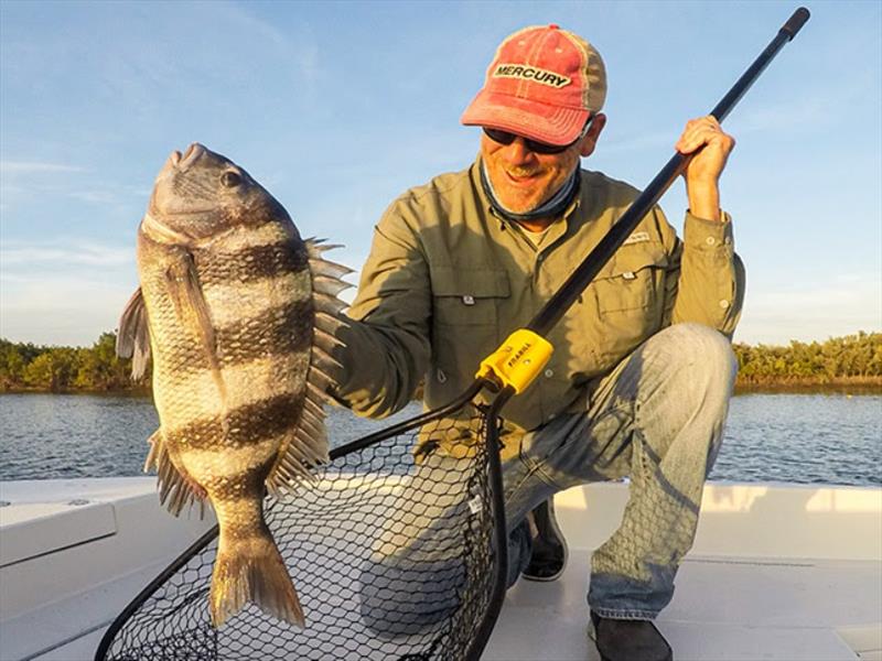 Joe Balog on fall inshore fishing along Florida's North-Central East Coast