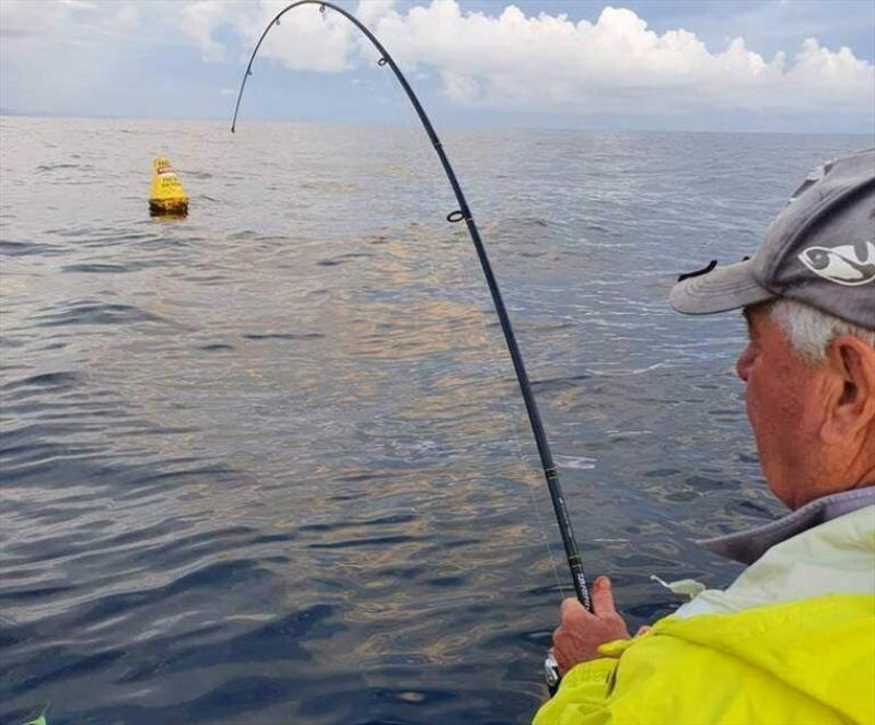 FADs attract and aggregate pelagic fish