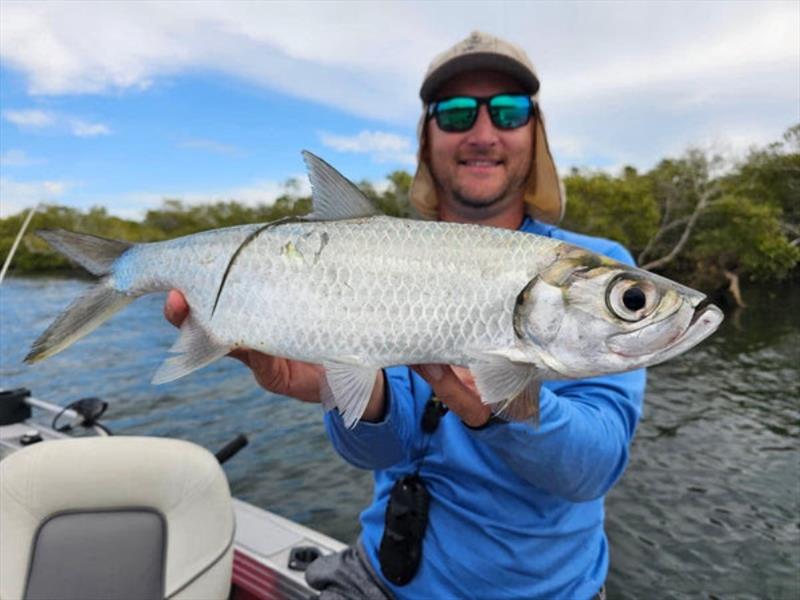 Tarpon although not a desirable table fish, on the light tackle are ...