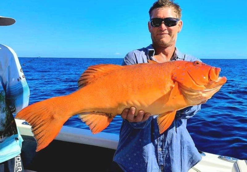 A quality bar-cheeked coral trout caught aboard Hot Reels