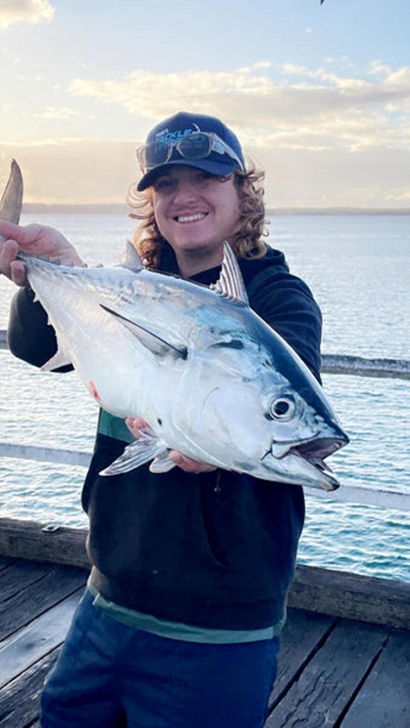 Tom with a typical Urangan Pier mack tuna. They were smashing the ...