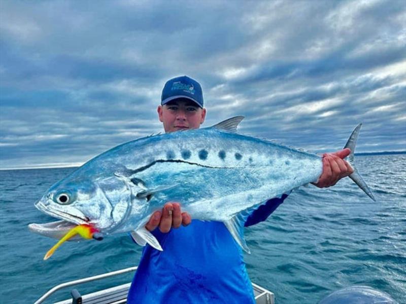 Now this is the sort of photo that makes a fish 'pop'. Kyah's queenie ...