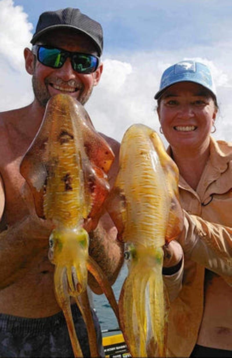 Keeping a few larger tiger squid such as these is fine, but you should ...