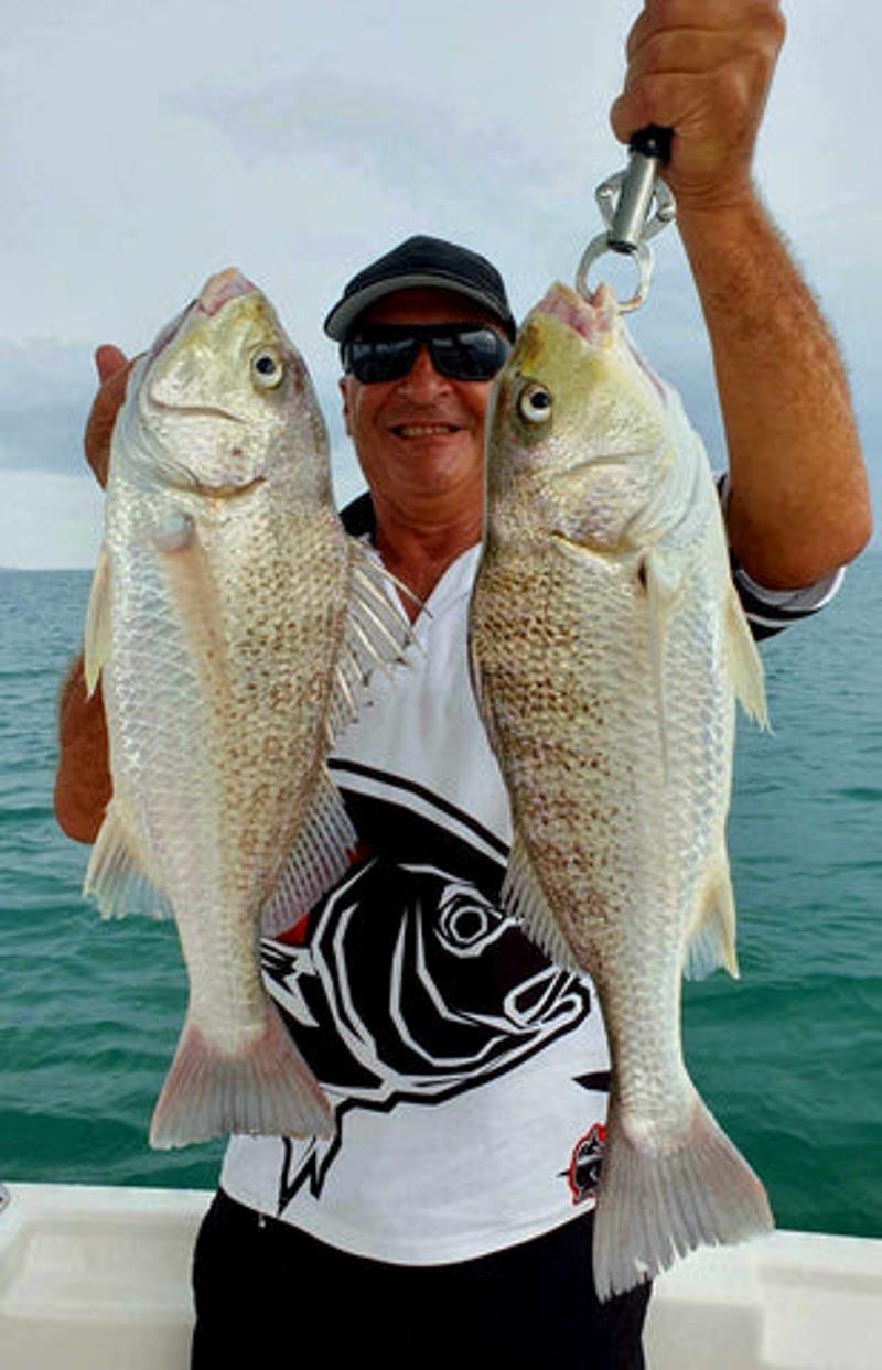 Grunter are on the chew inshore at present, and will be for some time yet