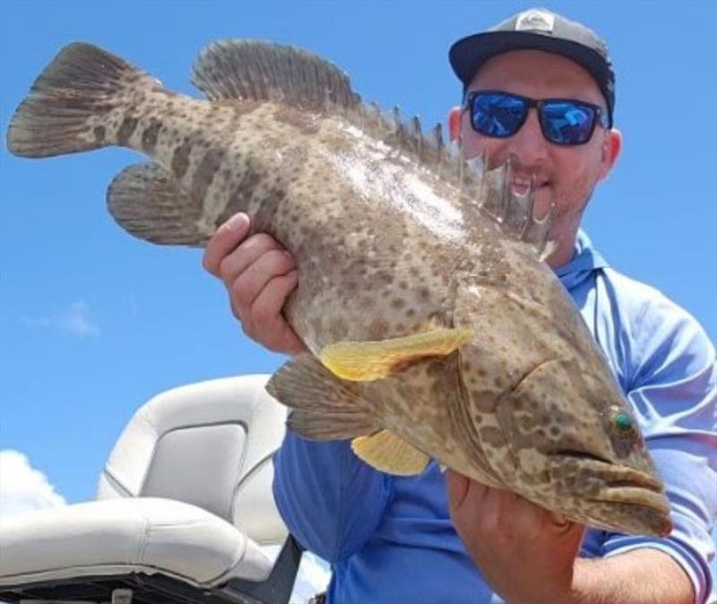 Chunky shallow water estuary cod are a real handful on the lighter ...
