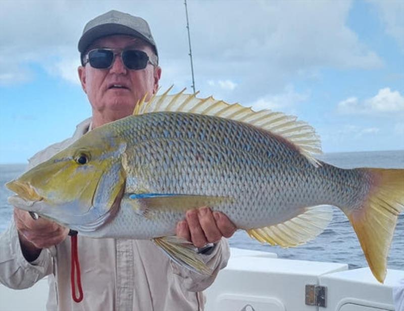 Wayne went wide and caught a range of reef fish, including this solid ...