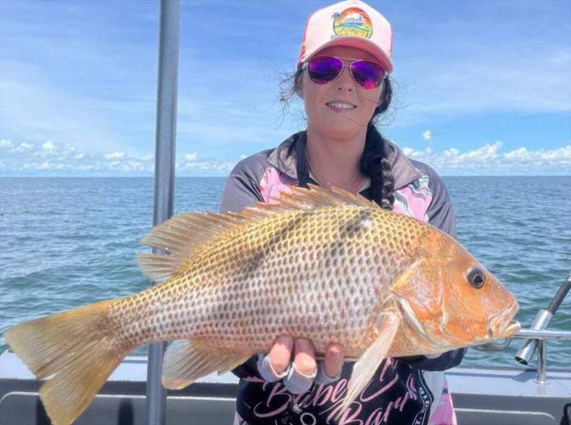 Golden snapper (fingermark) are on the chew up in the Gulf thanks to ...