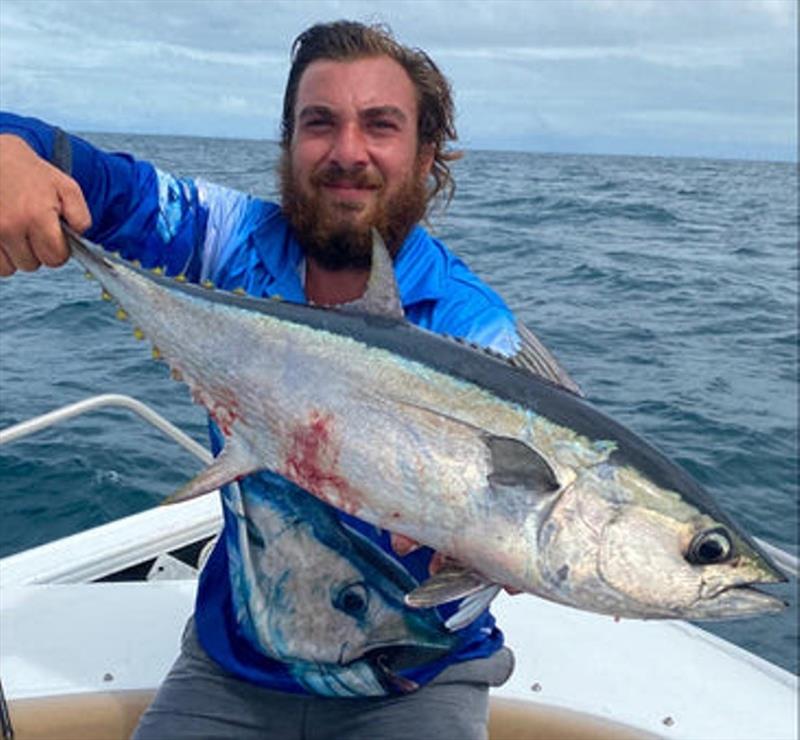 Longtail tuna are once again abundant throughout the southern and ...