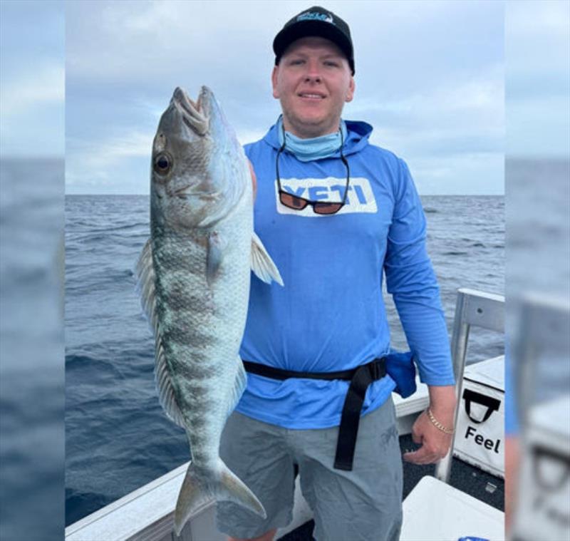 A jigged-up jobby is always fun. Logan's green jobfish ate a 90gm ...