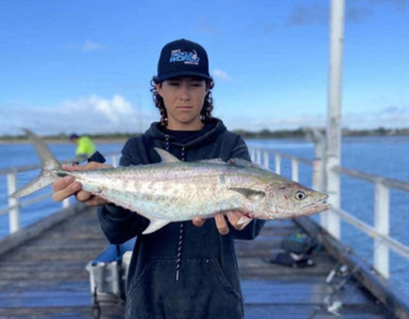 Max with an Urangan Pier mackerel. It has been a hectic week for pier ...