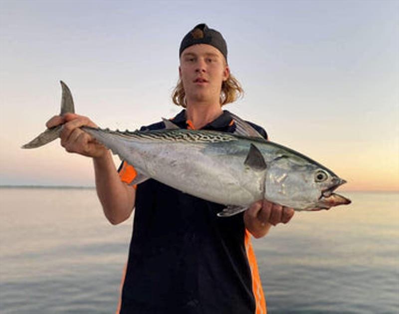 There are some large mac tuna out in the bay right now
