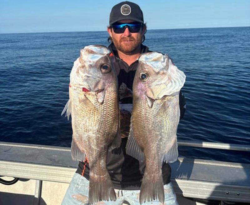 Pearl perch season opened 15th August (with the snapper), so deep ...