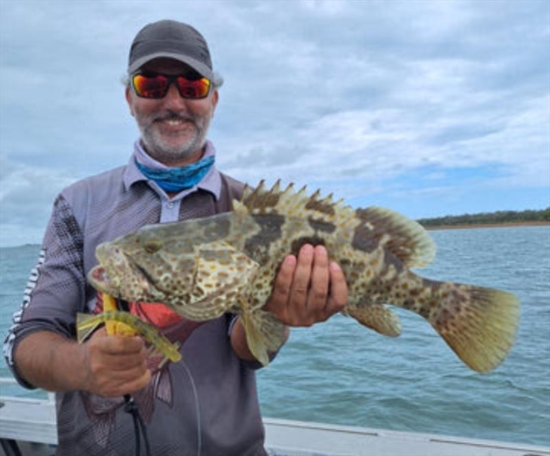 Estuary cod are big fans of shrimp imitation softies. Here is Tony with ...
