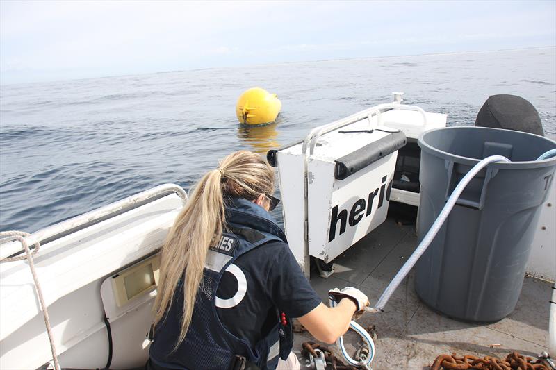 NSW FAD Season drawing to a close!