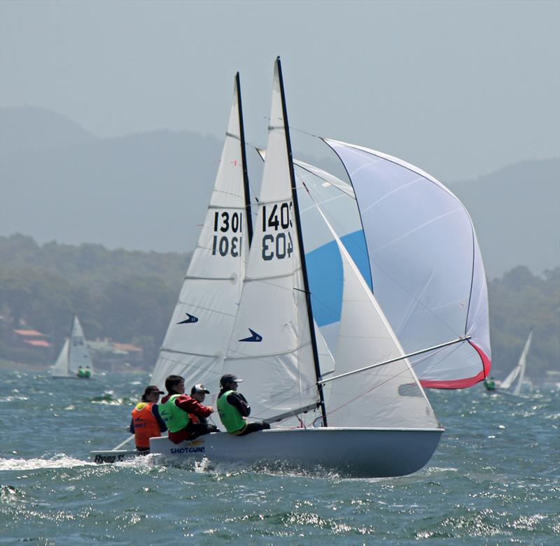 Zak and Jake Barnabas on their Flying 11 at Sail Sydney 2012