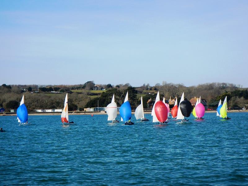 Bembridge Illusion Bill's Barrel 2023