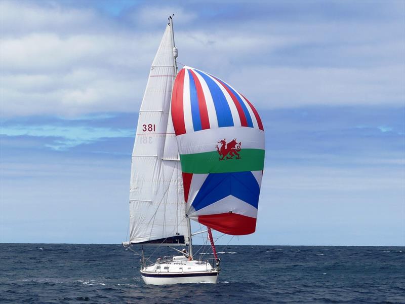 Honkytonk 2 during the RCIYC 25th Waller-Harris Two-handed Triangle Race