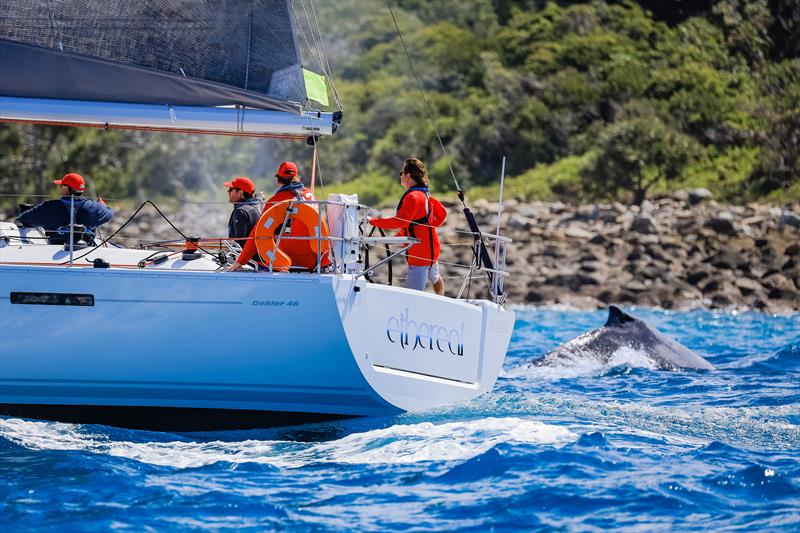 Hamilton Island Race Week 2022 Day 2