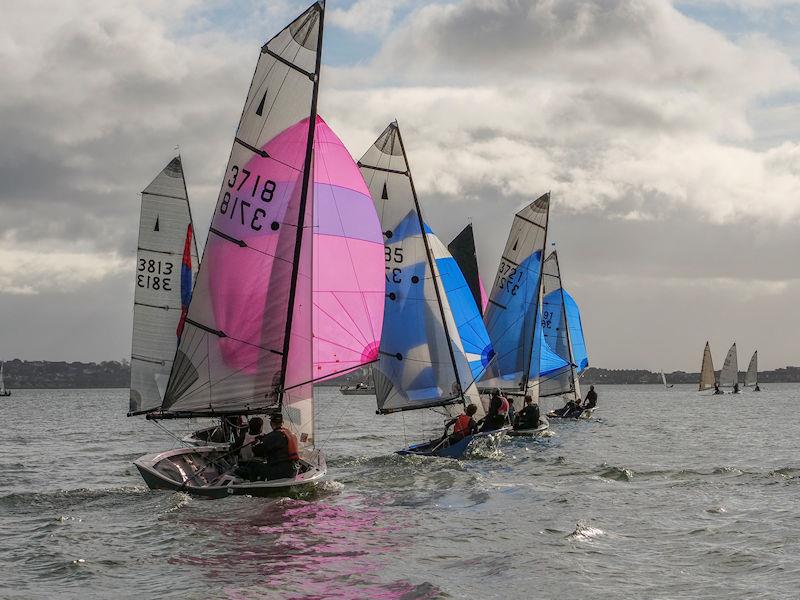 Starcross Steamer 2024