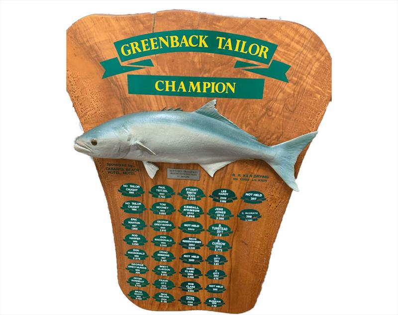 Greenback Tailor Champion