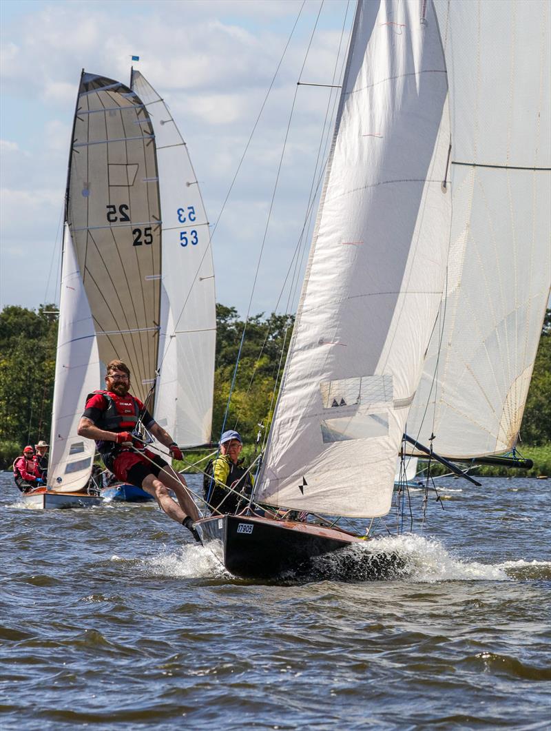 Peregine (86) during the Norfolk Punt Championships 2023