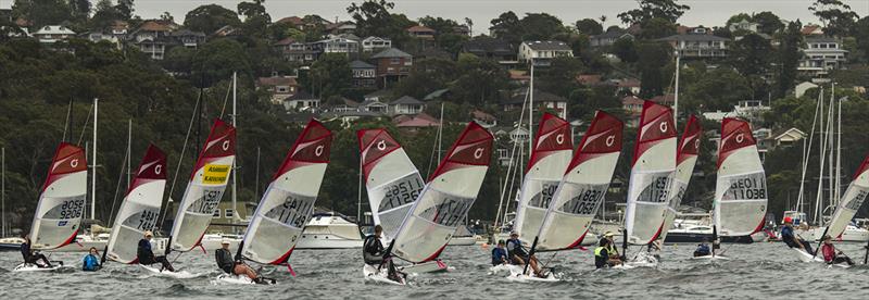2021 Manly Cup O'pen Skiff Regatta at Manly Yacht Club