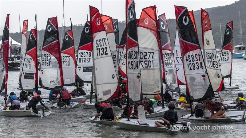 2024 Manly Cup at Manly Yacht Club