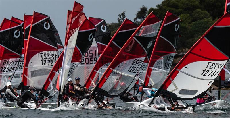 High winds, high energy O'pen Skiff Manly Cup at Manly Yacht Club