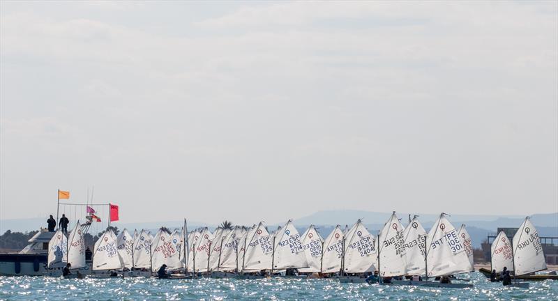 OptiOrange international Optimist class regatta, day 2