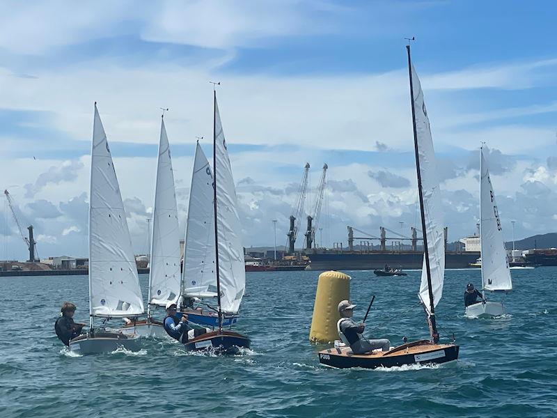 P Class Tanner Cup at Tauranga Yacht & Power Boat Club - Day 1