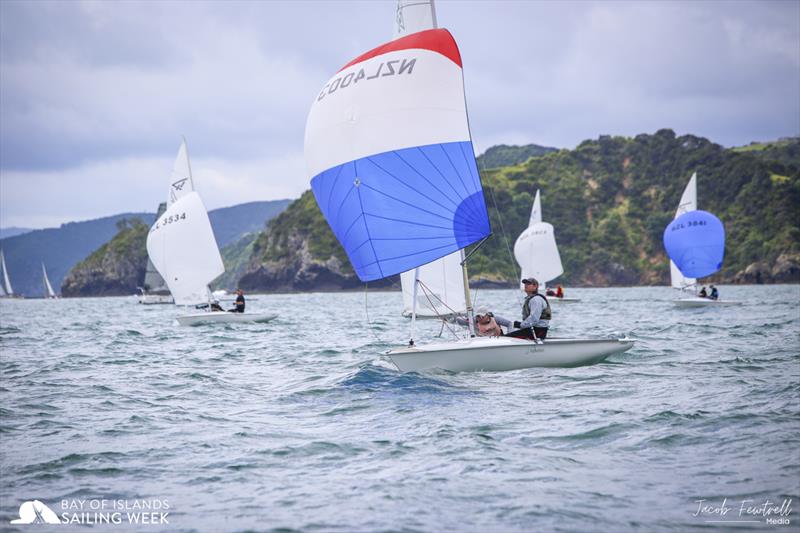 Day 3 - Bay of Islands Sailing Week - January 25, 2025