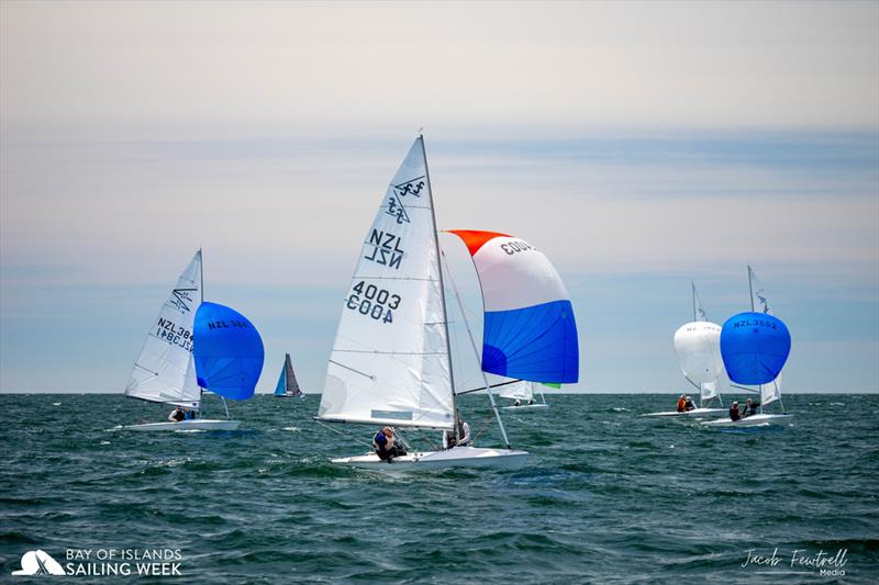 Day 3 - Bay of Islands Sailing Week - January 25, 2025