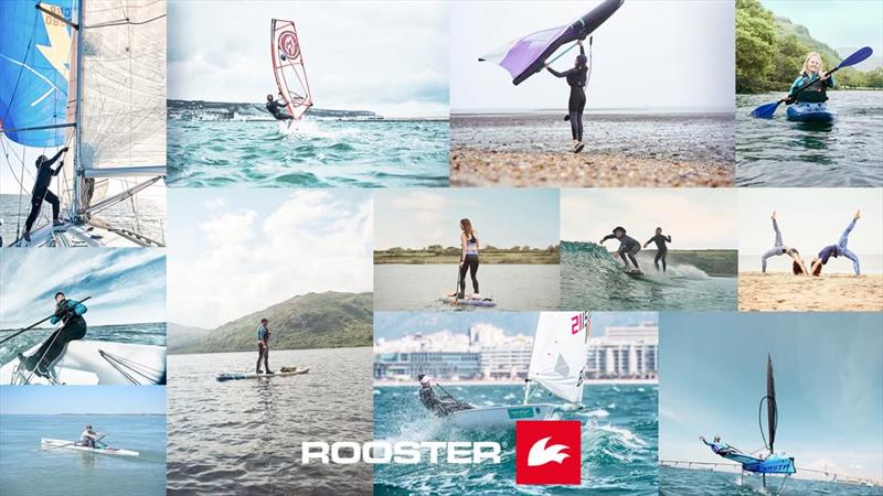 Rooster Sailing cover image