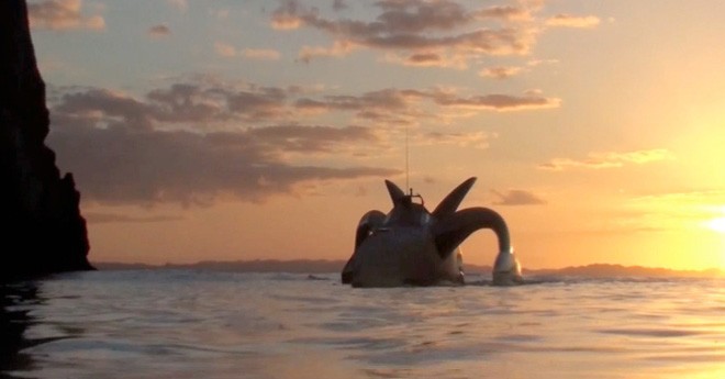 The story of the Ady Gil