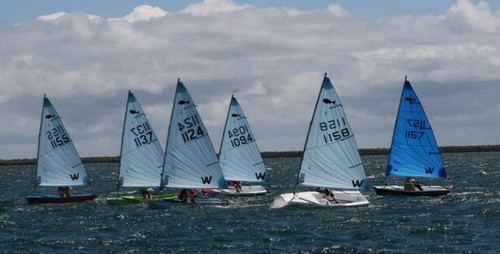 Western Australian Minnow State Championships