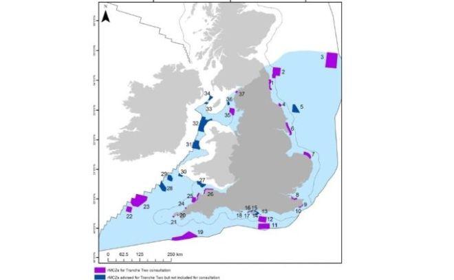 Public consultation opens on new Marine Conservation Zones