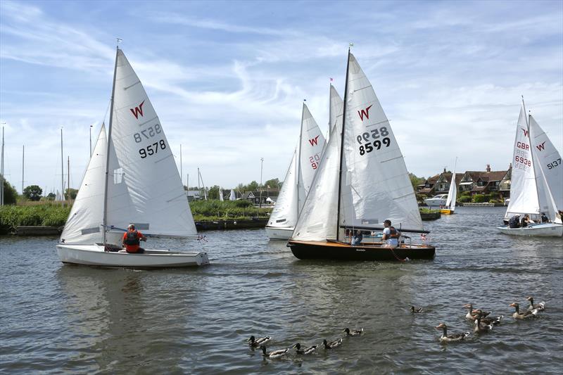 Wayfarers during the Three Rivers Race 2019